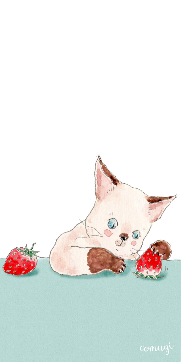 コムギ日記 – TOCORO COMUGI